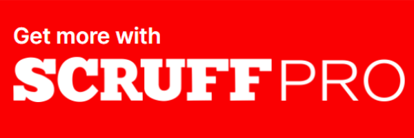Download SCRUFF and turn your profile into PRO